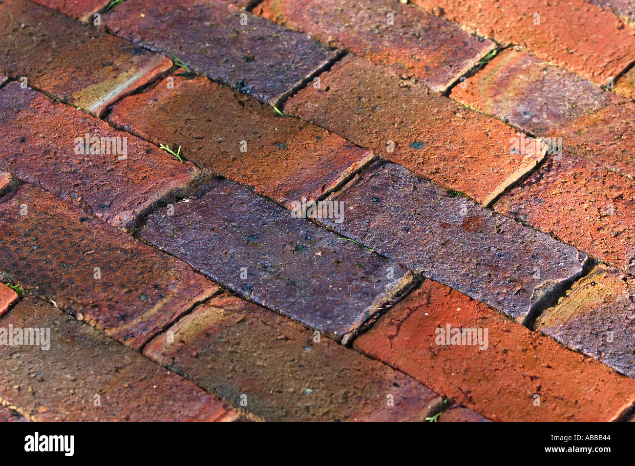 Brick block patio paving in a domestic garden Stock Photo - Alamy