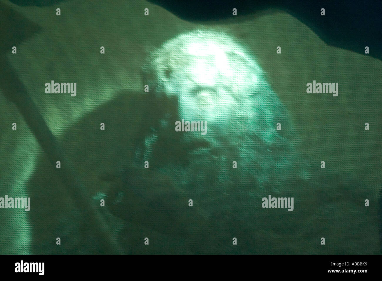 Bearded face hi-res stock photography and images - Alamy