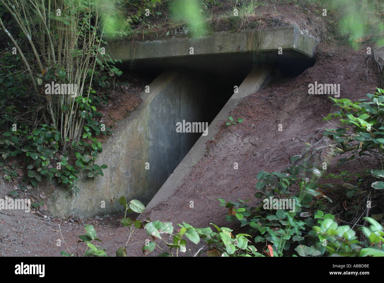 Cement Bunker at Fort Ebey Stock Photo - Alamy