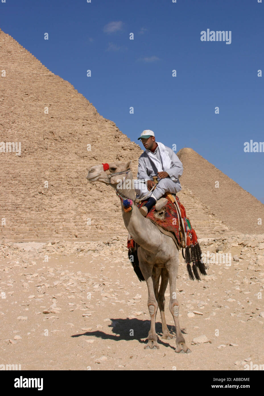 camel rider Pyramids Egypt Stock Photo - Alamy