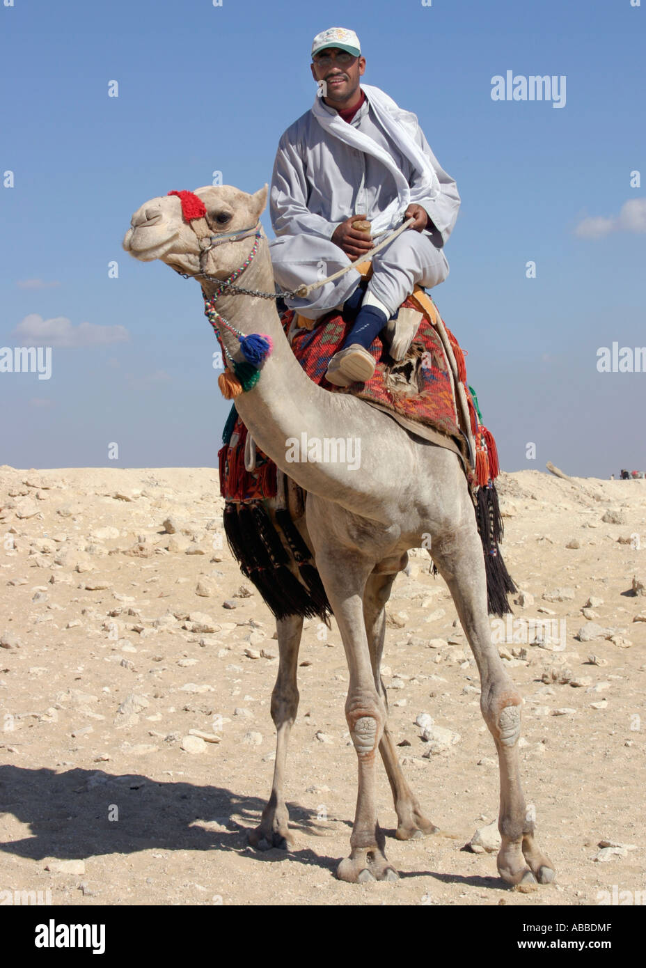 camel rider, Pyramids, Egypt Stock Photo - Alamy