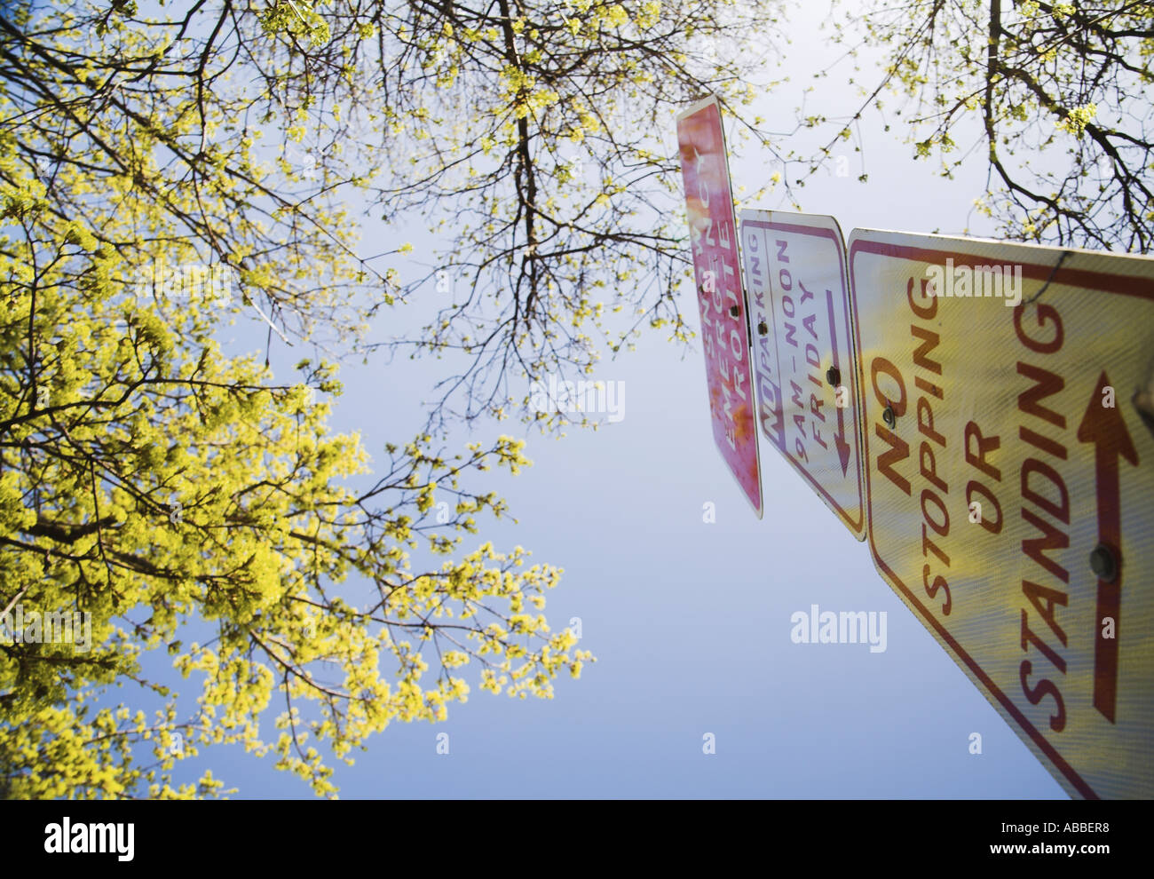 Signs and trees Sign and trees Stock Photo - Alamy