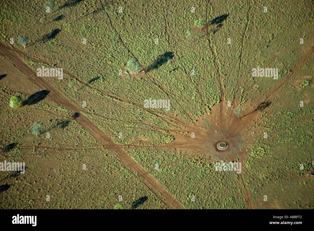 Aerial cattle tracks hi-res stock photography and images - Alamy