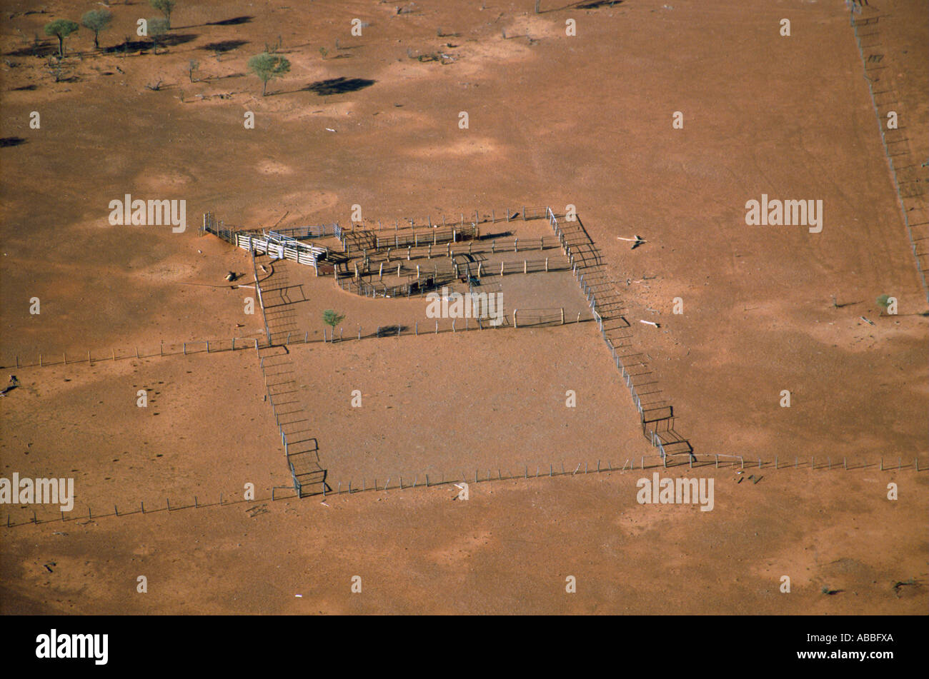 Cattle holding yard Stock Photo - Alamy