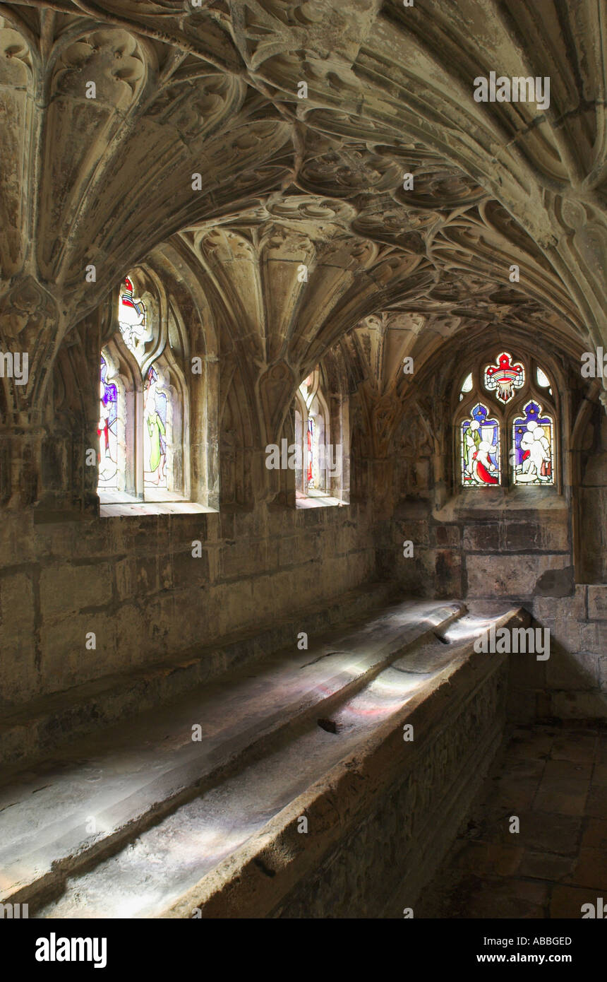 Lavatorium hi-res stock photography and images - Alamy