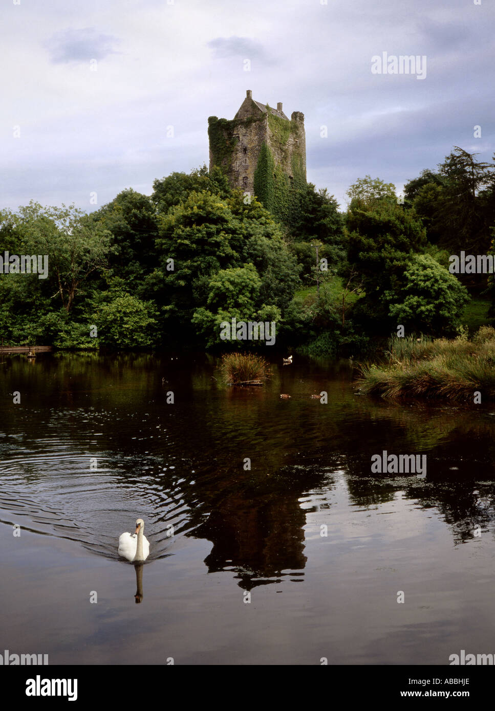 Ballymore Stock Photos & Ballymore Stock Images - Alamy