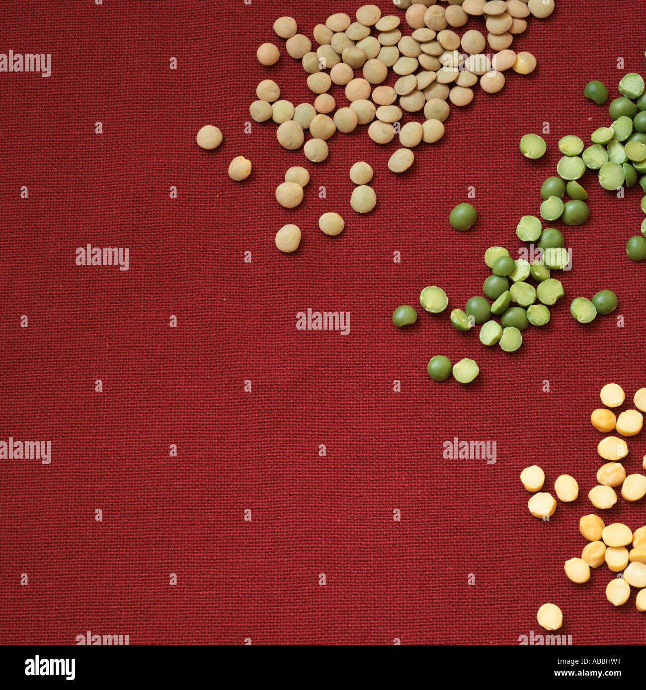 Different Colored Lentils Lens Culinaris Stock Photo - Alamy