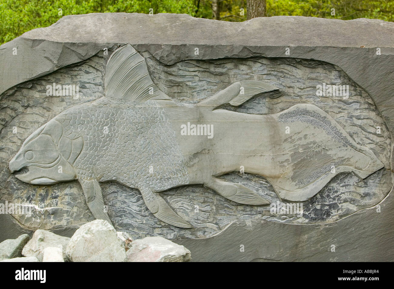 a Coelacanth carved inot a slate block, an ancient species of fish ...