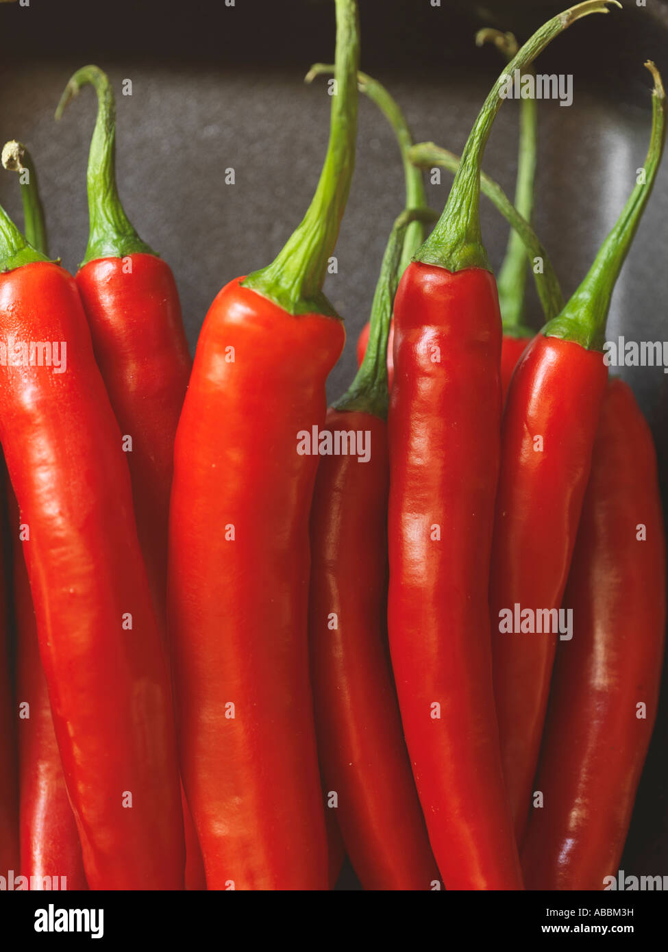 Red Holland Peppers Stock Photo - Alamy