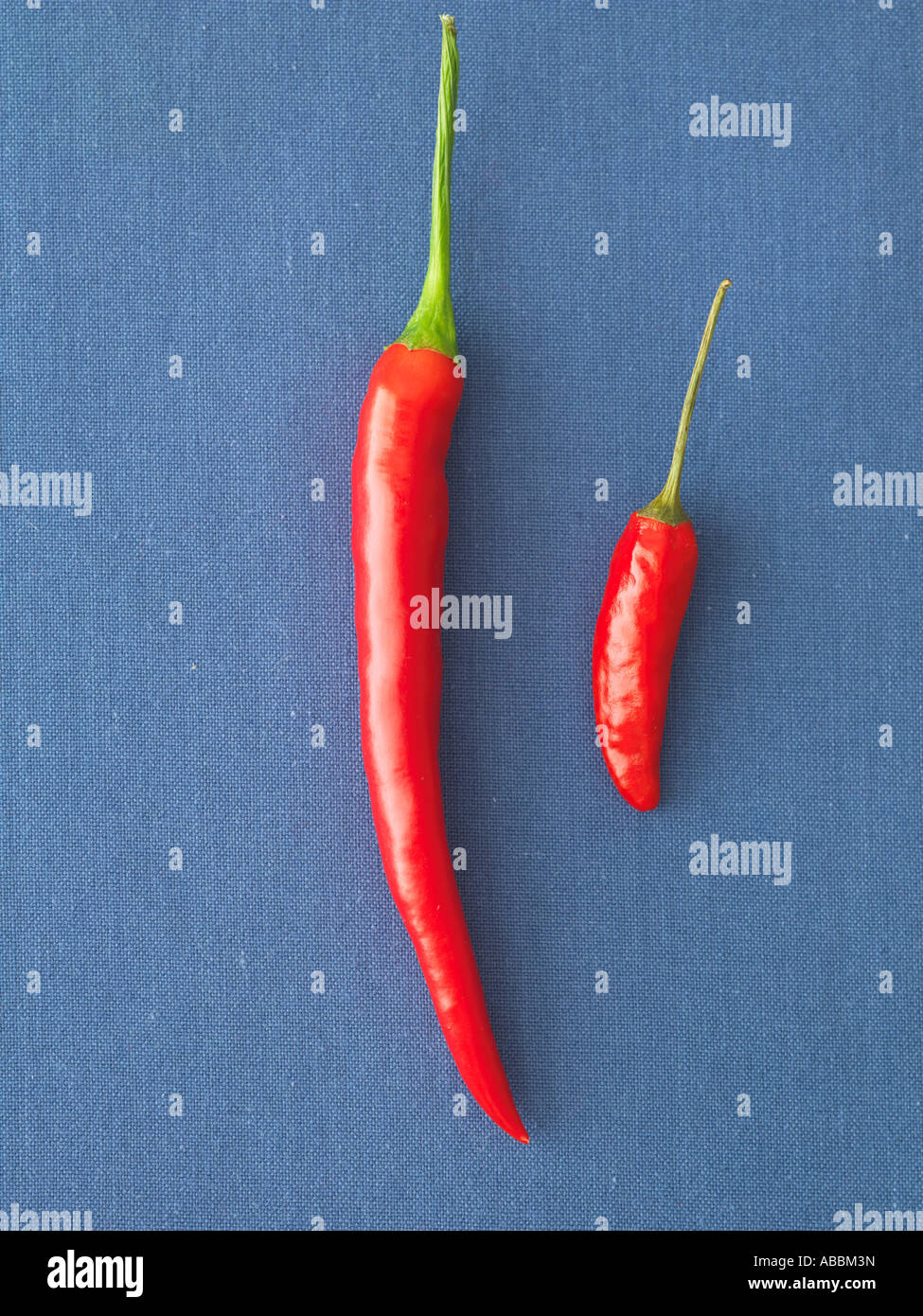 Red Holland Pepper Red Chili Pepper Stock Photo - Alamy