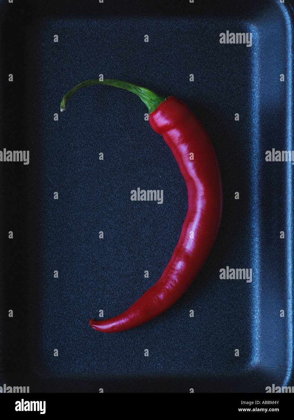 Red Holland Pepper Stock Photo - Alamy