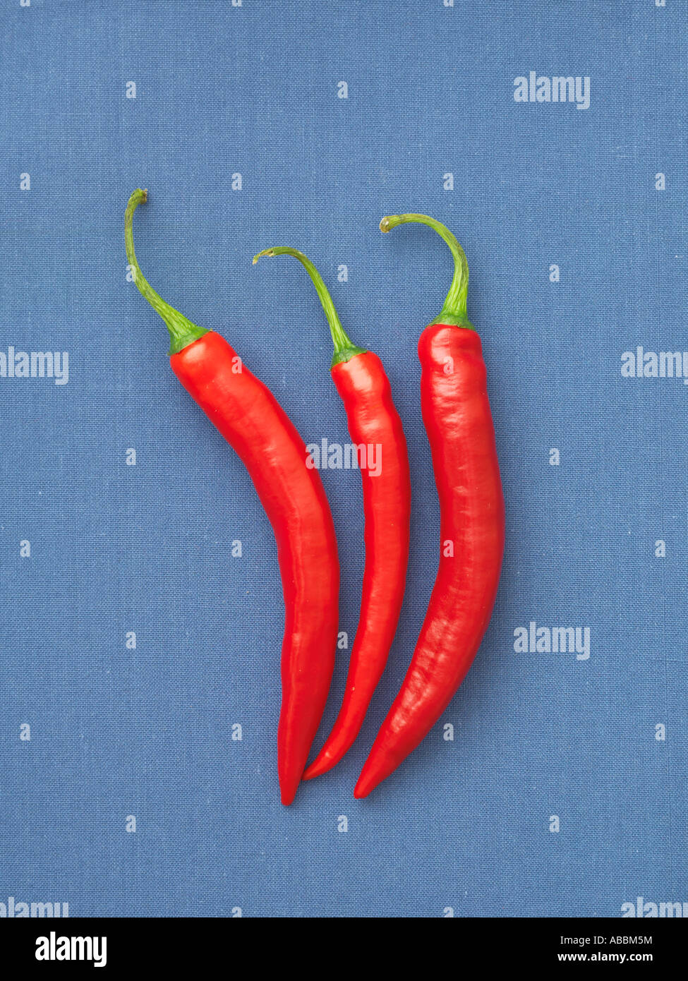 Red Holland Peppers Stock Photo - Alamy