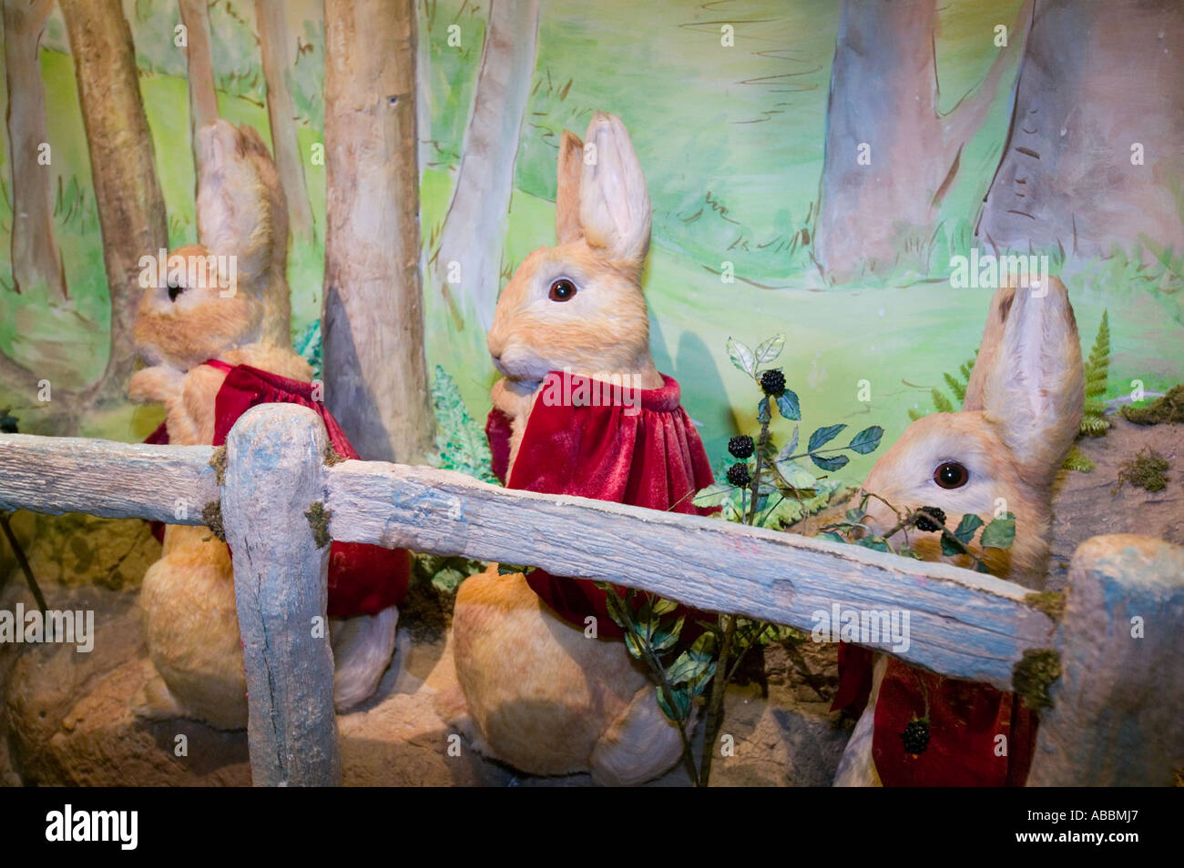 Peter Rabbit Beatrix Potter Stock Photos & Peter Rabbit Beatrix Potter ...