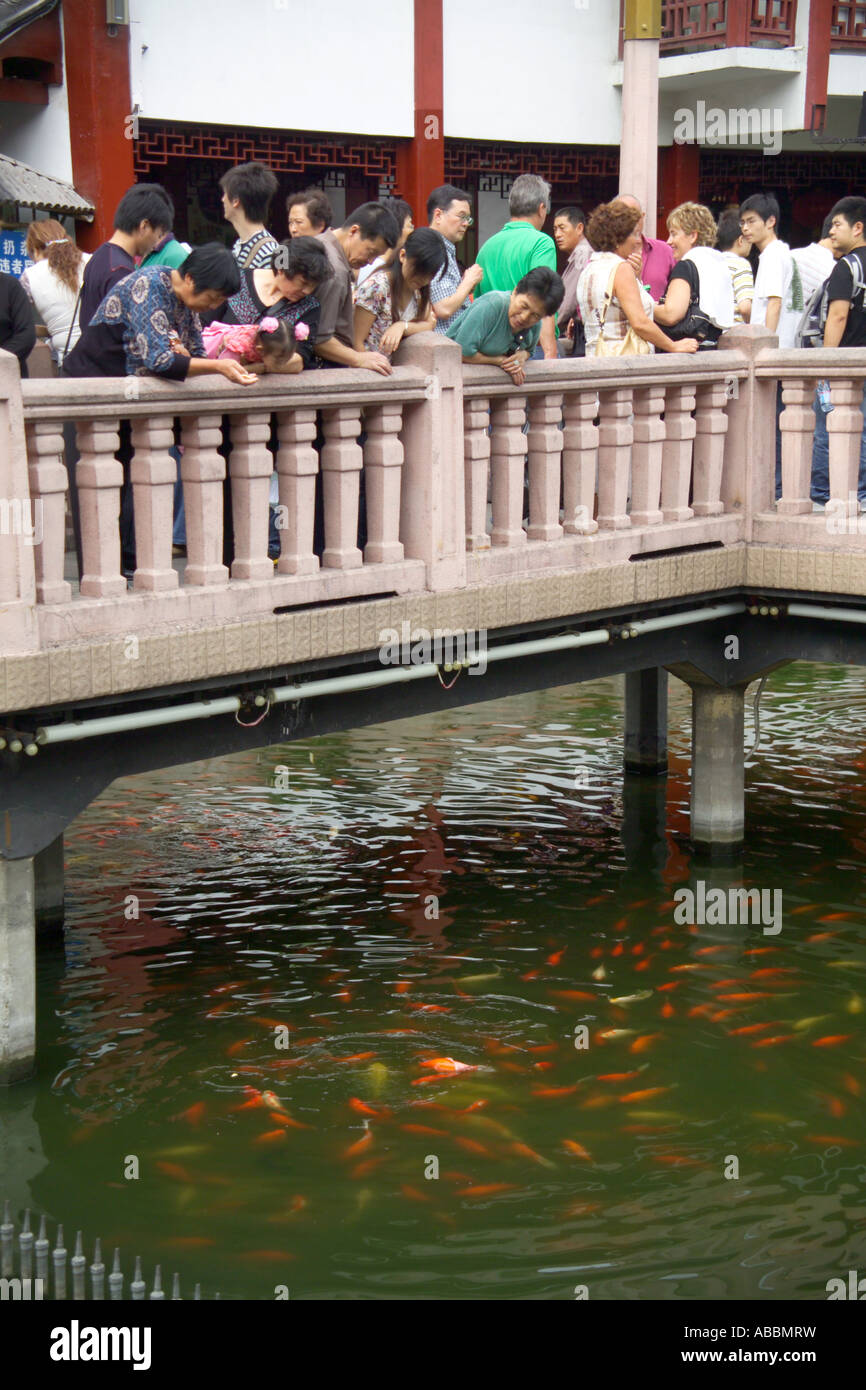 tourists fish feeding at Shanghai tea rooms Stock Photo - Alamy
