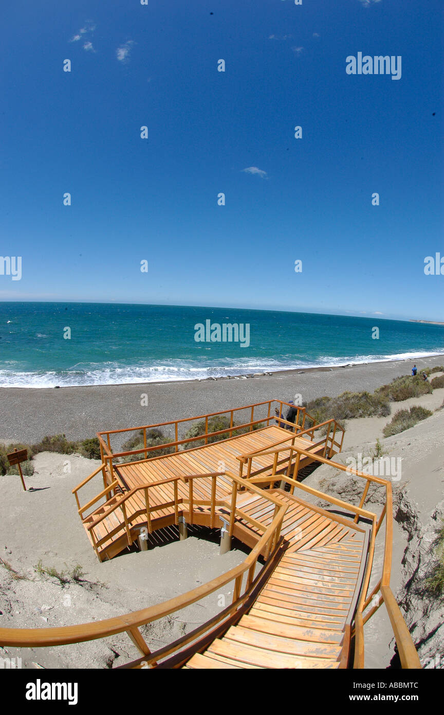 Tourists watching Elephant seals Mirounga leonina Punta Norte Atlantic ...