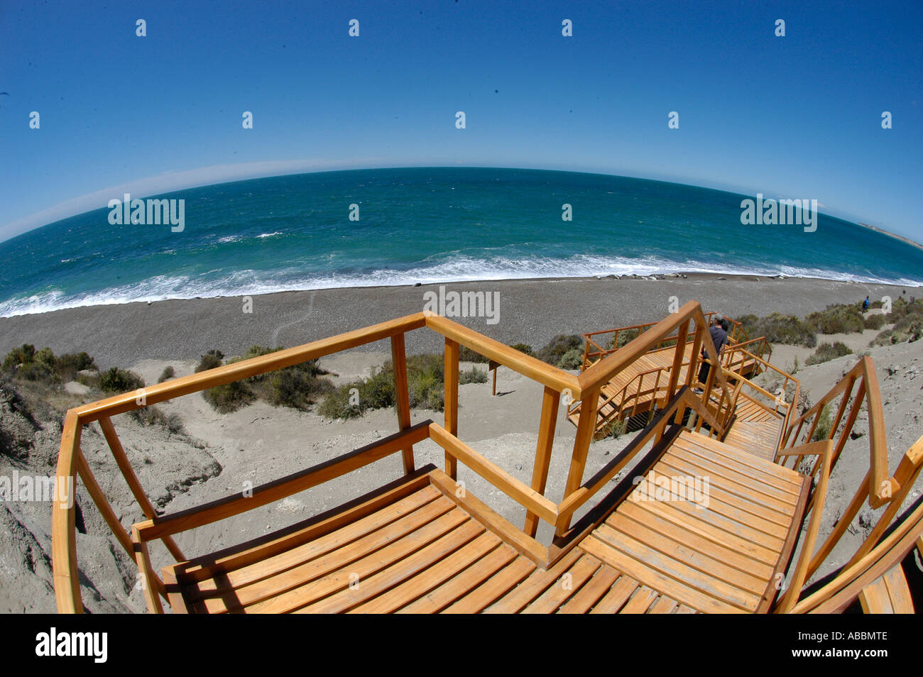 Tourists watching Elephant seals Mirounga leonina Punta Norte Atlantic ...