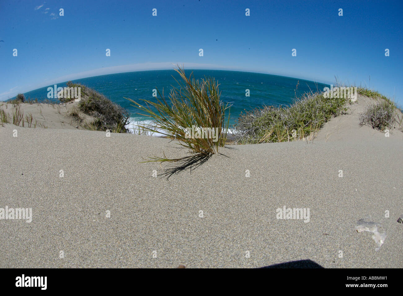 Atlantic Ocean Peninsula Valdez Patagonia Argentina Stock Photo - Alamy