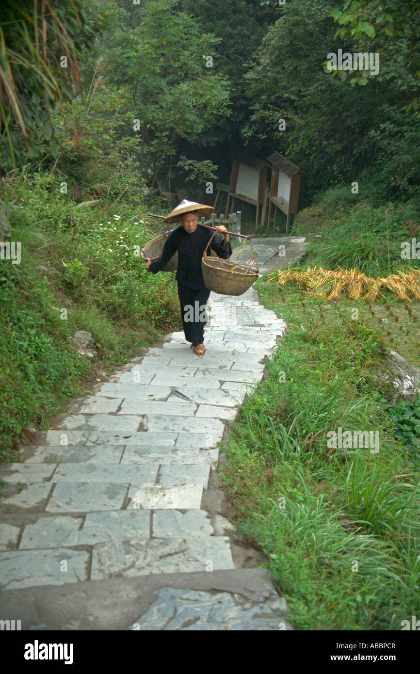traditional Chinese rice worker at Pingan Stock Photo - Alamy