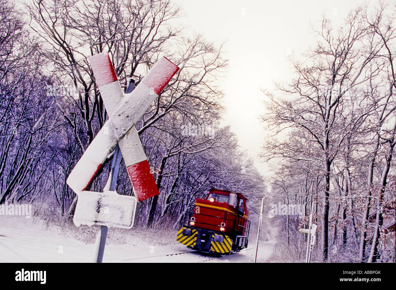 Level crossing sign with freight train coming through the woods Stock ...