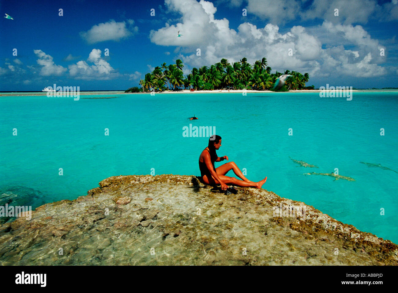 Blue lagoon Rangiroa atoll French Polynesia Stock Photo - Alamy