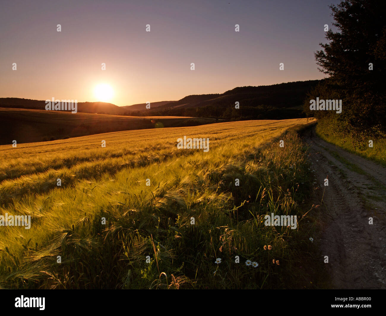 Landscape in rural France with corn fields hills dirt road and sunset ...