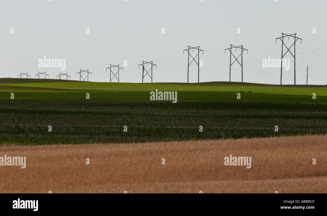 A line of Power poles in scenic Saskatchewan in Western Canada Stock ...
