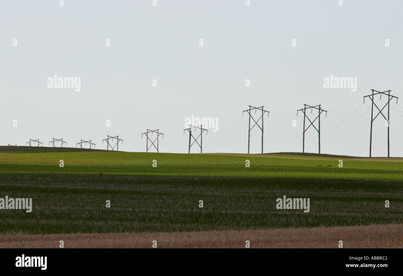 A line of Power poles in scenic Saskatchewan in Western Canada Stock ...