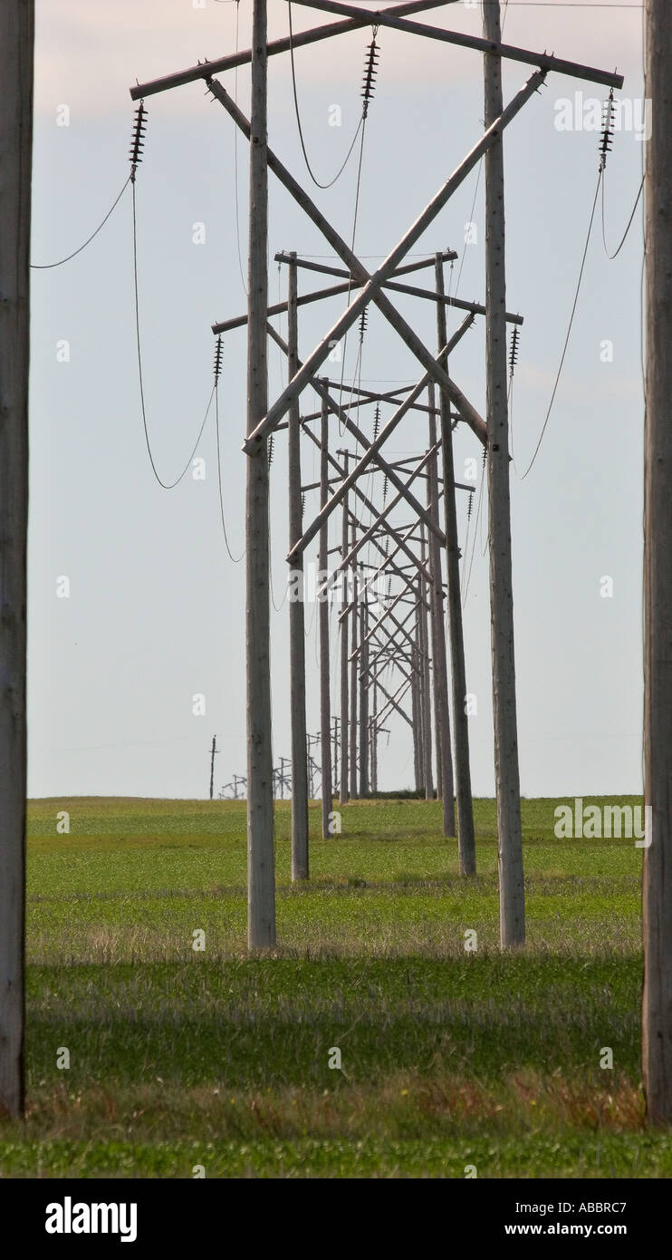 A line of Powerpoles in scenic Saskatchewan in Western Canada Stock ...