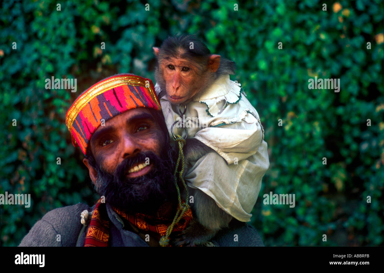 Monkey shoulder hi-res stock photography and images - Alamy