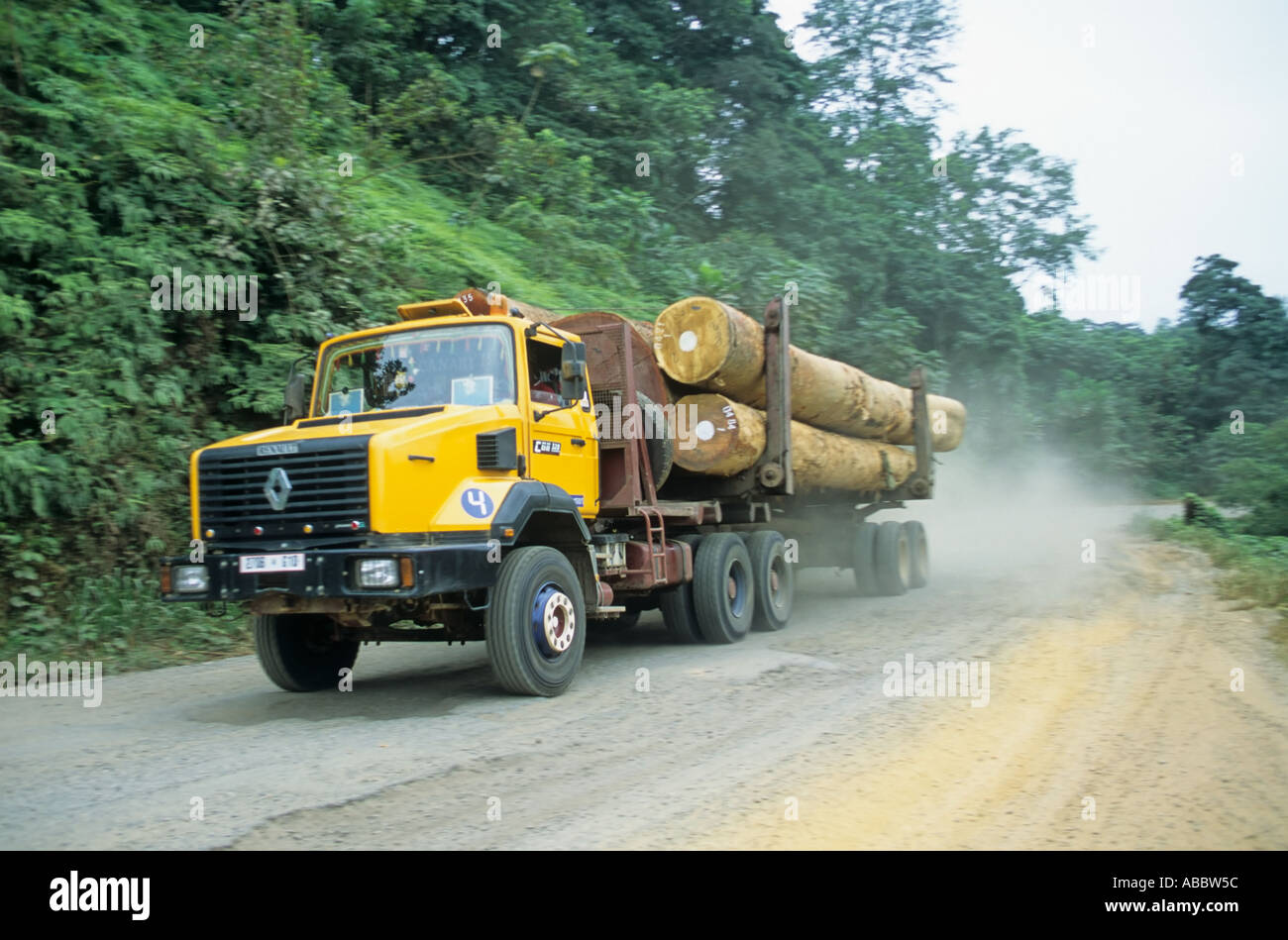 Logging the rainforest, Gabon Stock Photo - Alamy