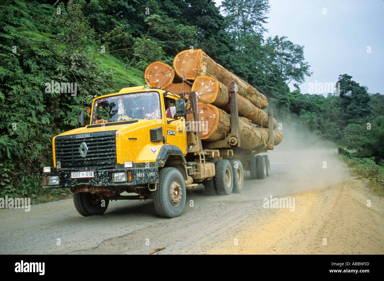 Logging the rainforest, Gabon Stock Photo - Alamy