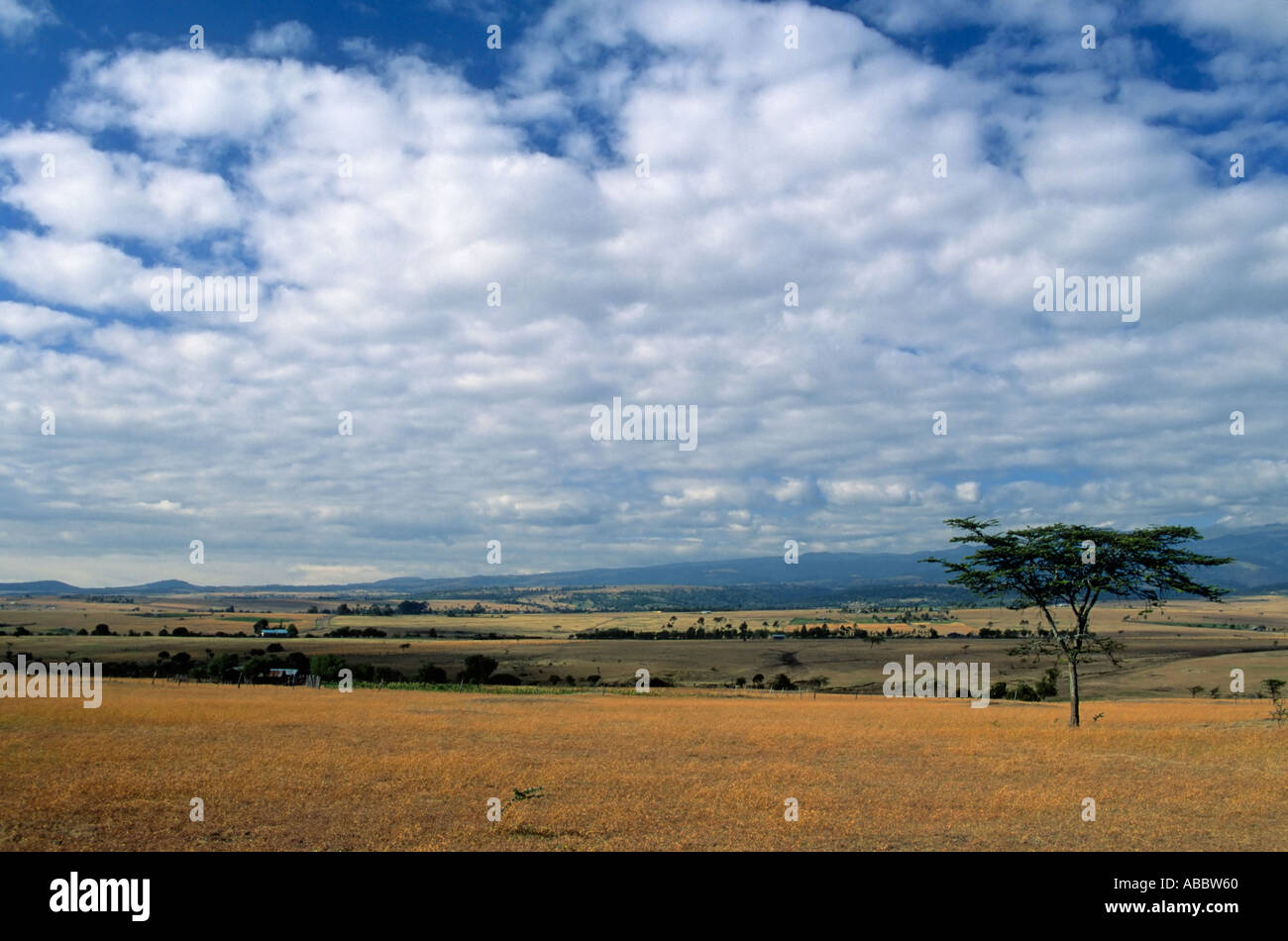 North eastern kenya hi-res stock photography and images - Alamy