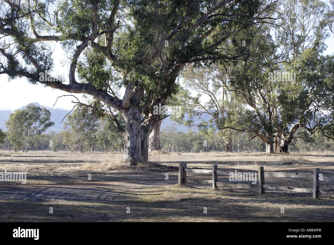 Grounds of a Homestead in the West Grampians, Western Victoria ...