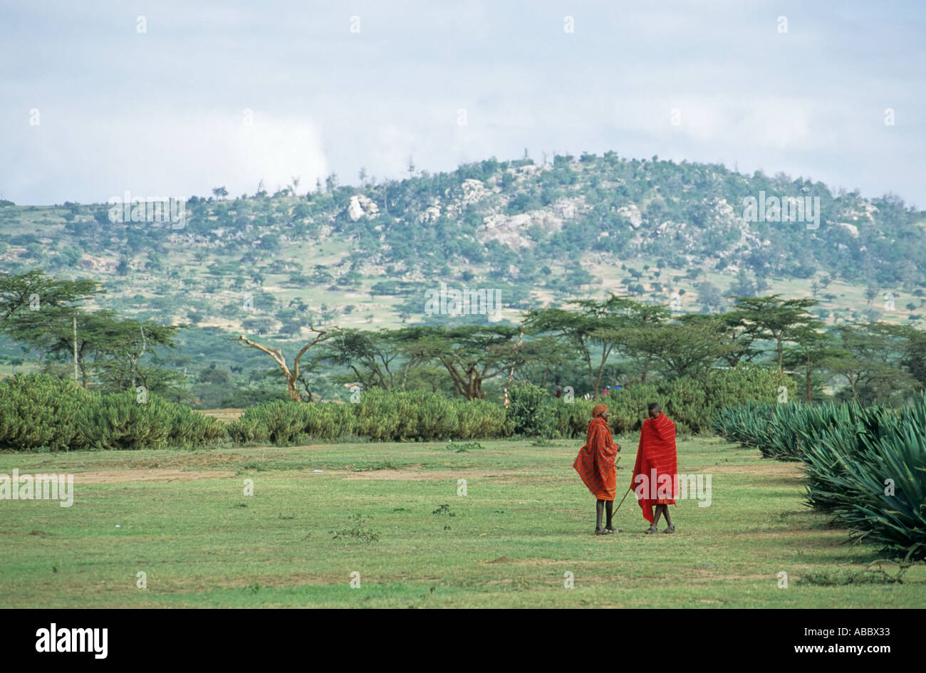 Maralal kenya samburu warrior hi-res stock photography and images - Alamy