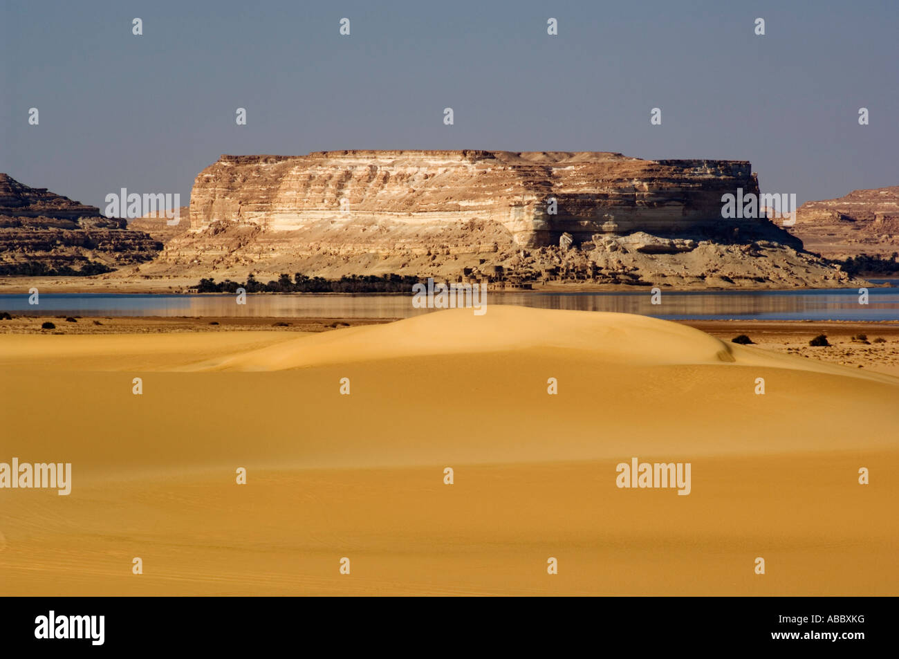 lake Siwa, the Great Sand Sea, Western desert near Siwa oasis, Egypt ...