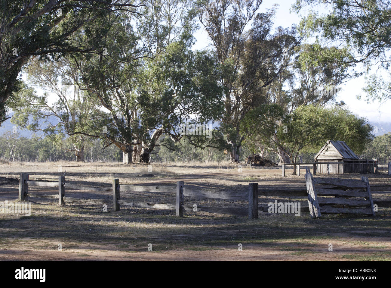 Grounds of Homestead in the Western Grampians [2] , West Victoria ...
