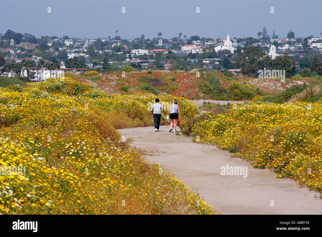 Fiesta Island Mission Bay San Diego California SD Stock Photo - Alamy