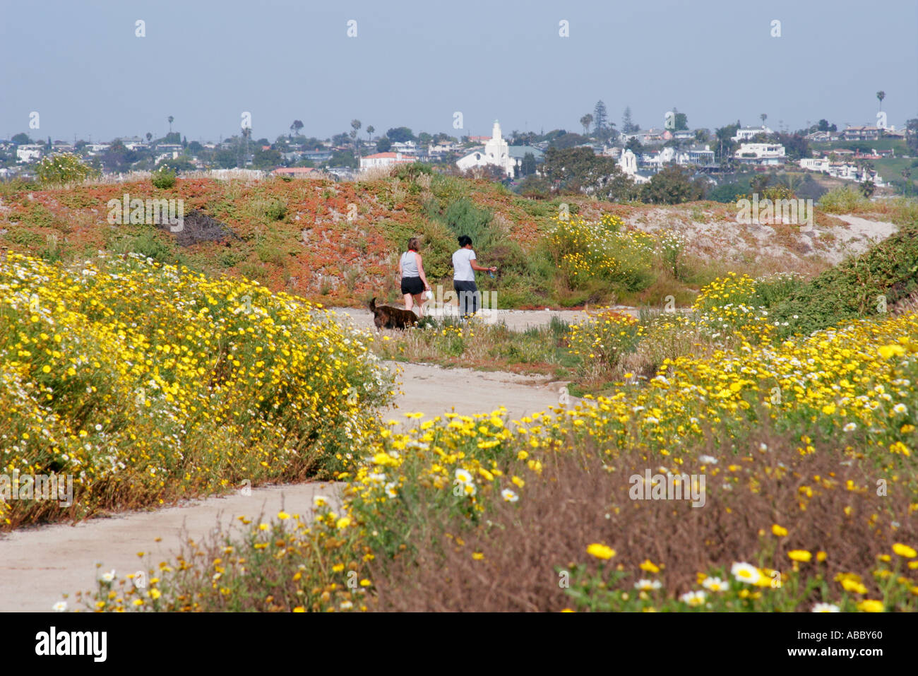 Fiesta Island Mission Bay San Diego California SD Stock Photo - Alamy