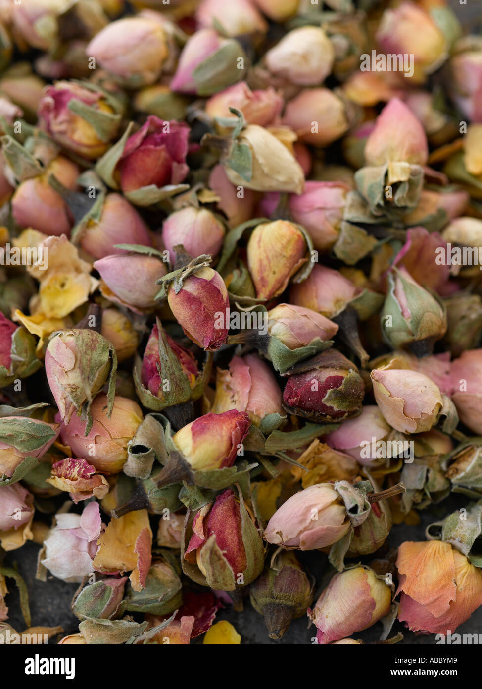 Dried rosebuds shot with Hasselblad medium format digital Stock Photo ...