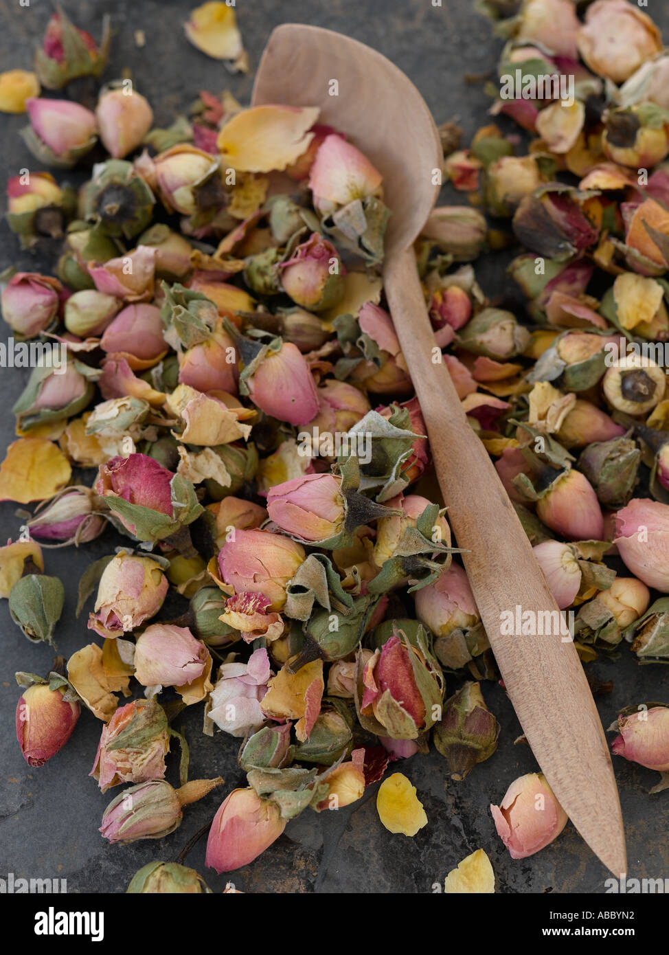 Rosebuds still life hi-res stock photography and images - Alamy