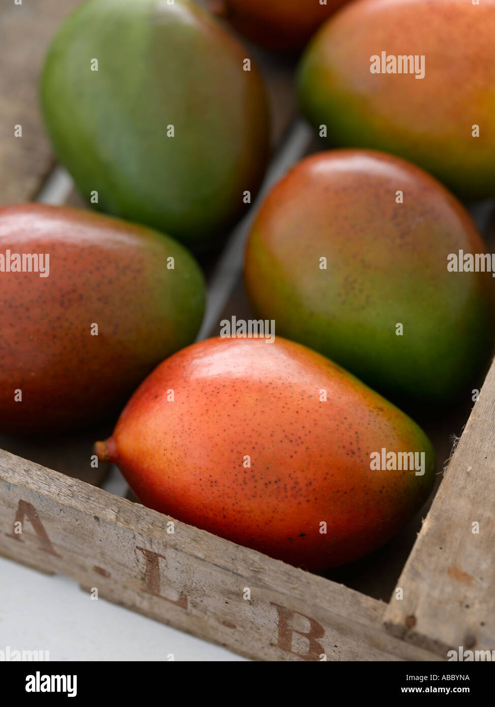Fresh ripe mangoes - 61mb hi res Hasselblad pro digital file Stock ...