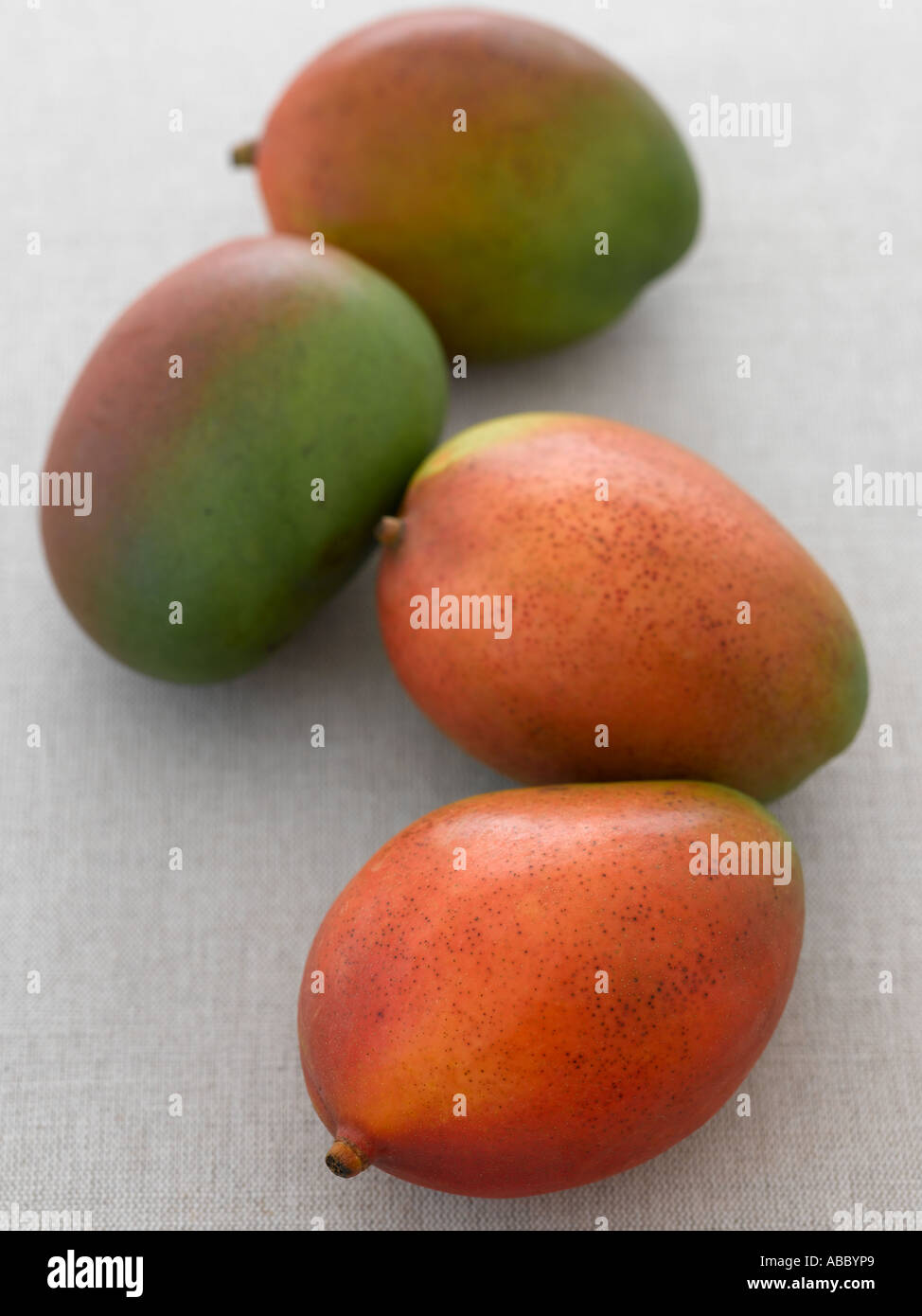 Fresh ripe mangoes - 61mb hi res Hasselblad pro digital file Stock ...