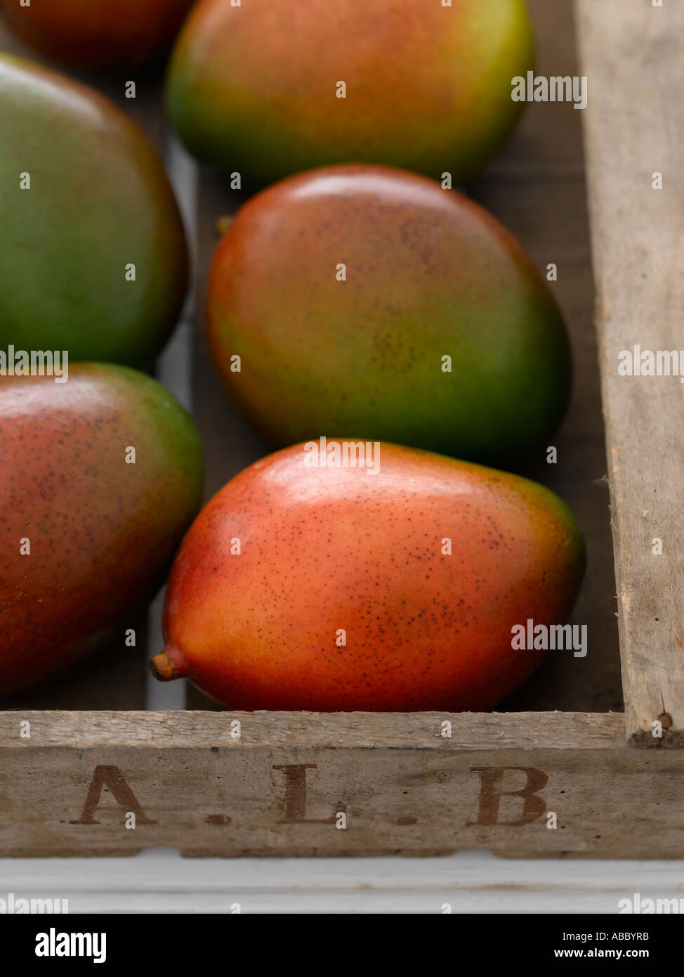 Fresh ripe mangoes - 61mb hi res Hasselblad pro digital file Stock ...