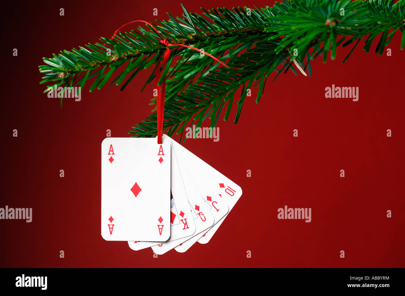 Royal Flush hanging from branch of Christmas tree Stock Photo - Alamy