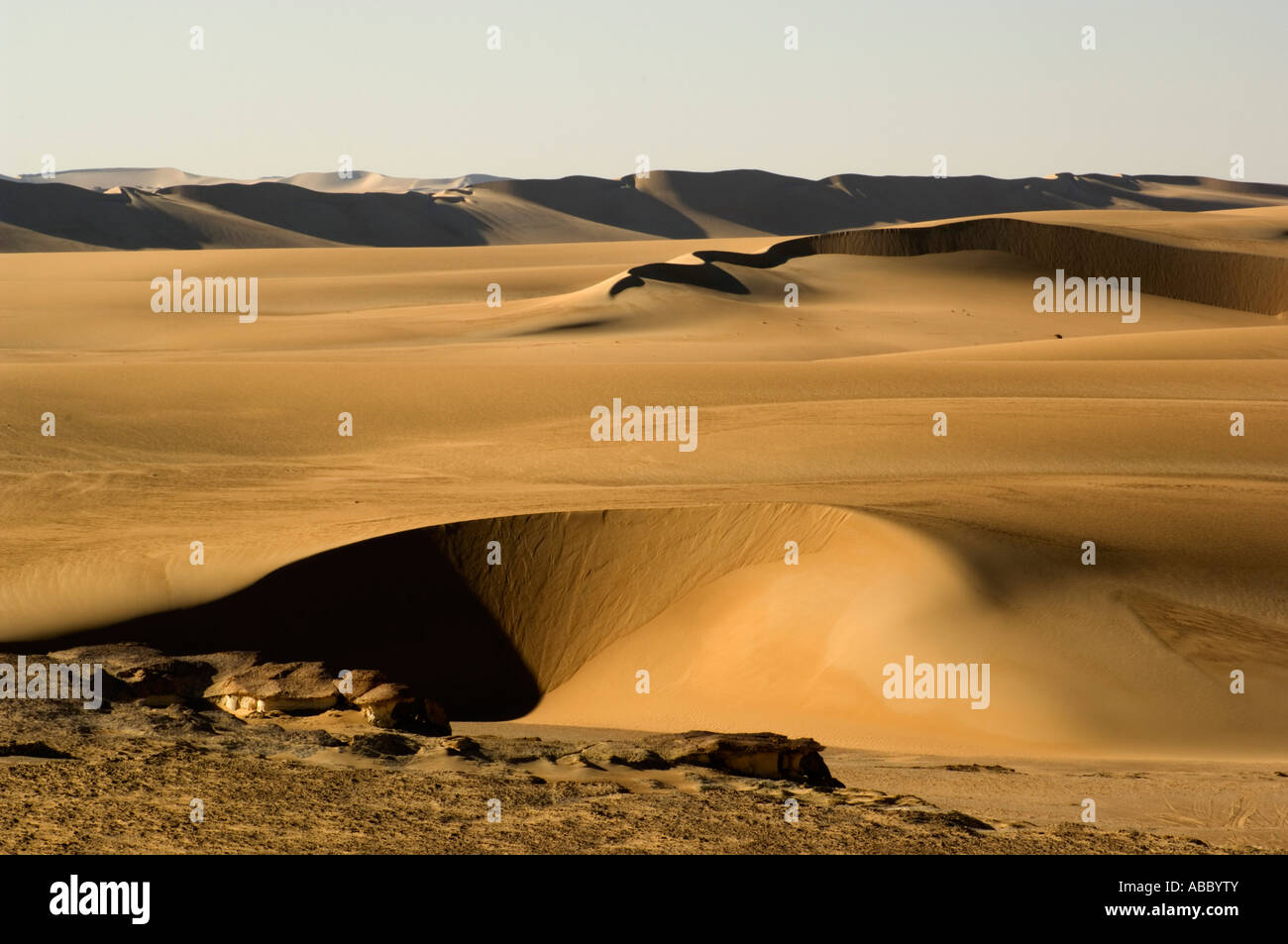 dunes, the Great Sand Sea, Western desert near Siwa oasis, Egypt Stock ...