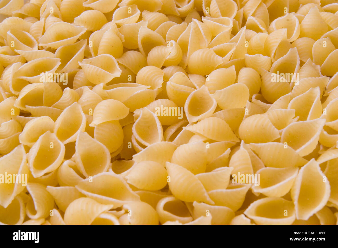 Conchiglie or raw pasta shells Stock Photo - Alamy