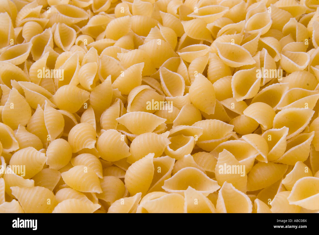 Conchiglie or raw pasta shells Stock Photo - Alamy