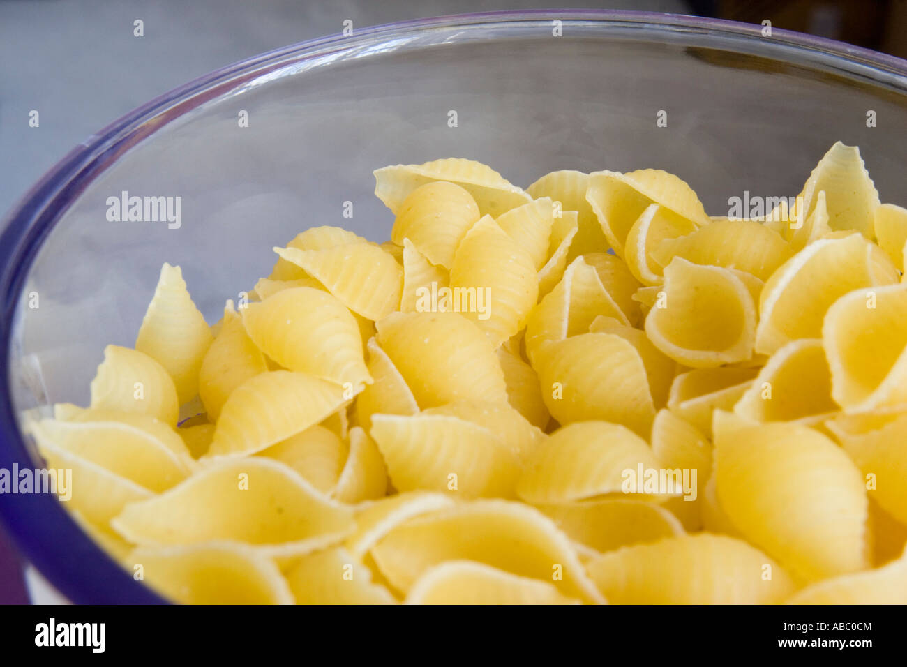 Conchiglie or raw pasta shells Stock Photo - Alamy