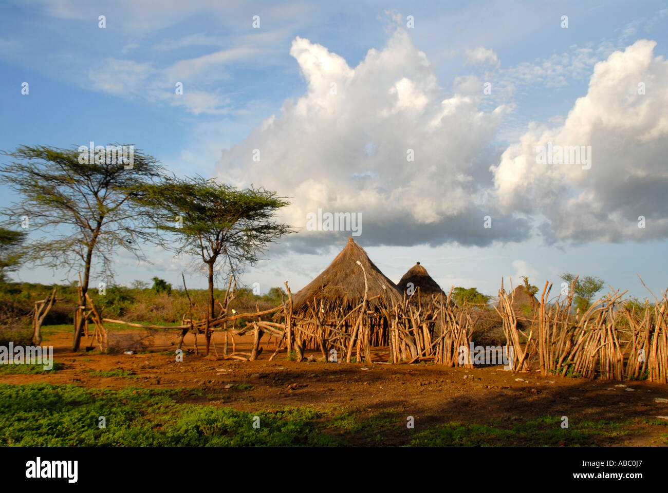 Aboriginal Hamar village in the savannah near Turmi Ethiopia Stock ...