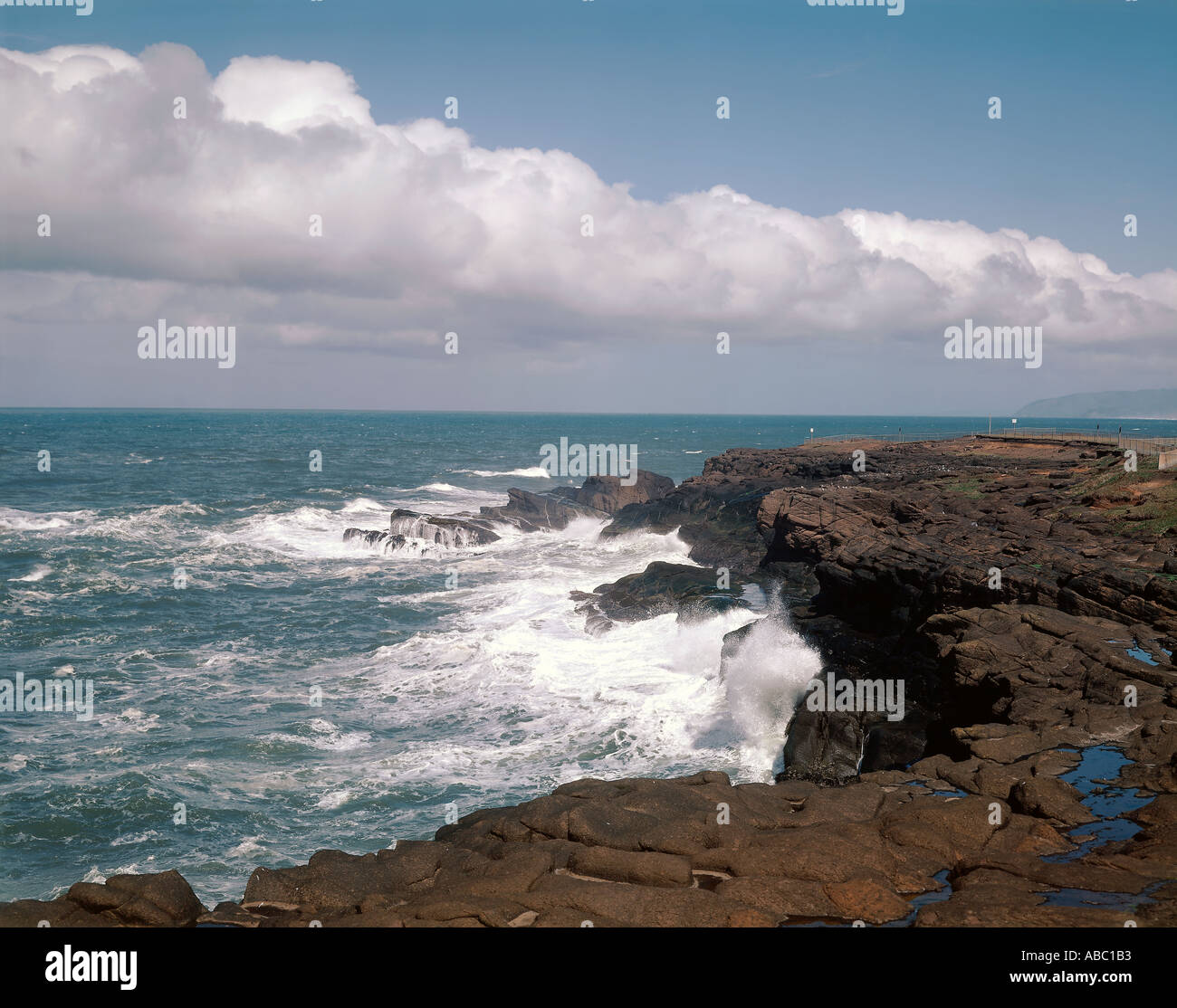 Boiler bay state park hi-res stock photography and images - Alamy